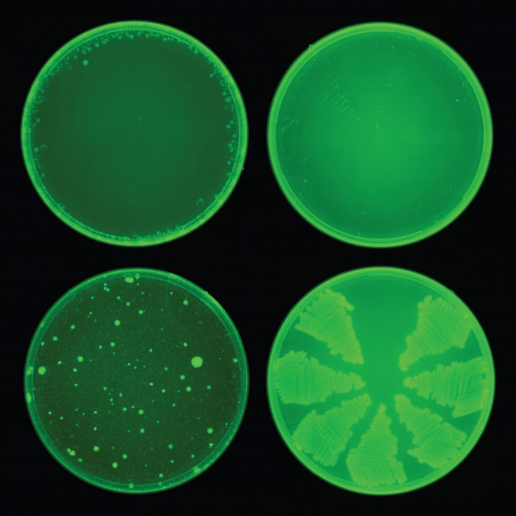 J-Clinic Finds New Antibiotic with AI Technology | Abdul Latif Jameel®