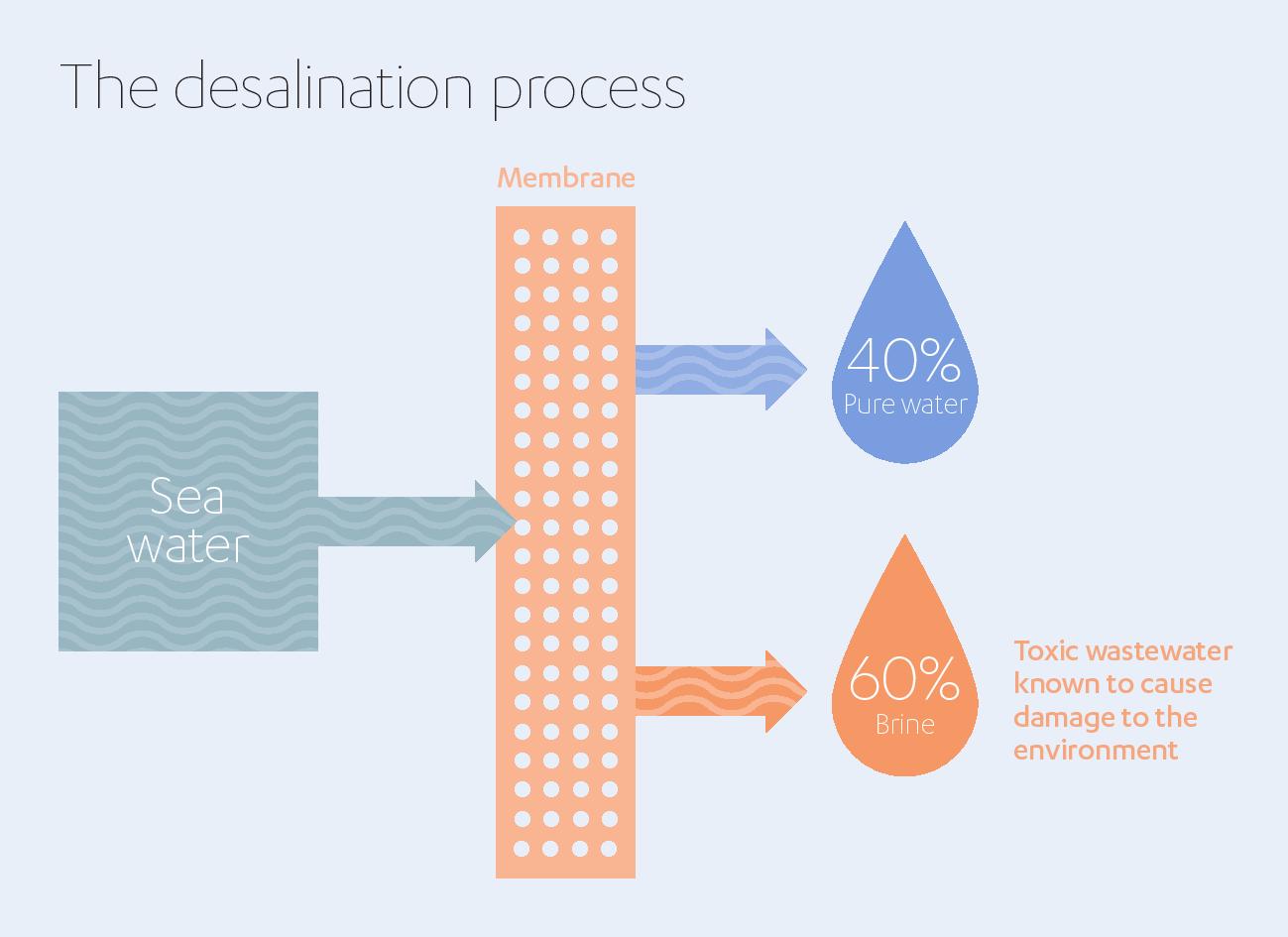 Past the Salt? The future of water desalination | Abdul Latif Jameel®