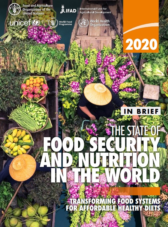Combatting food security in a post-pandemic world | Abdul Latif Jameel®