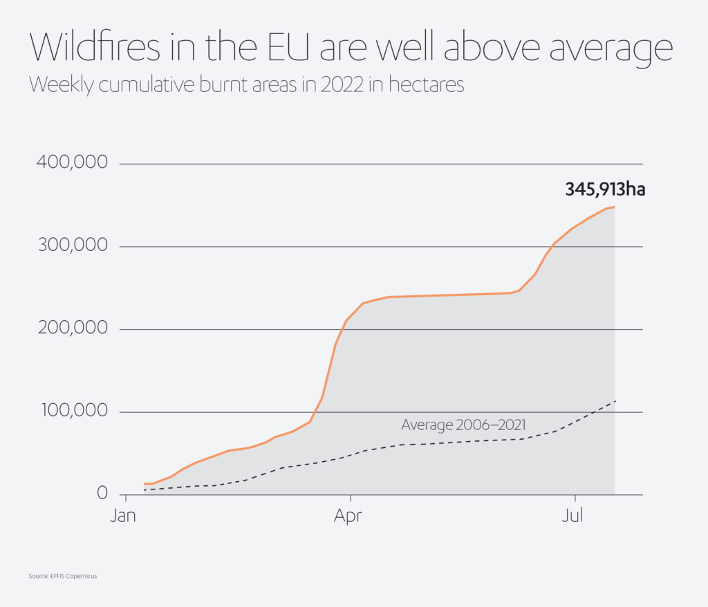 Wildfires and Climate Change | Abdul Latif Jameel®
