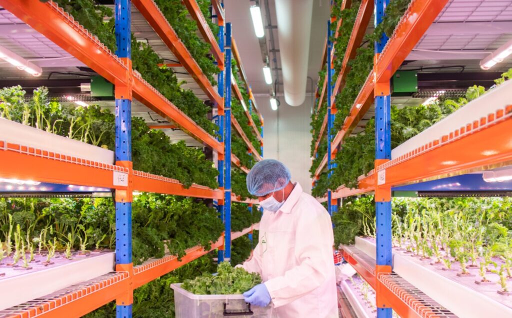 Grassroots strategies for greener lives | Abdul Latif Jameel®