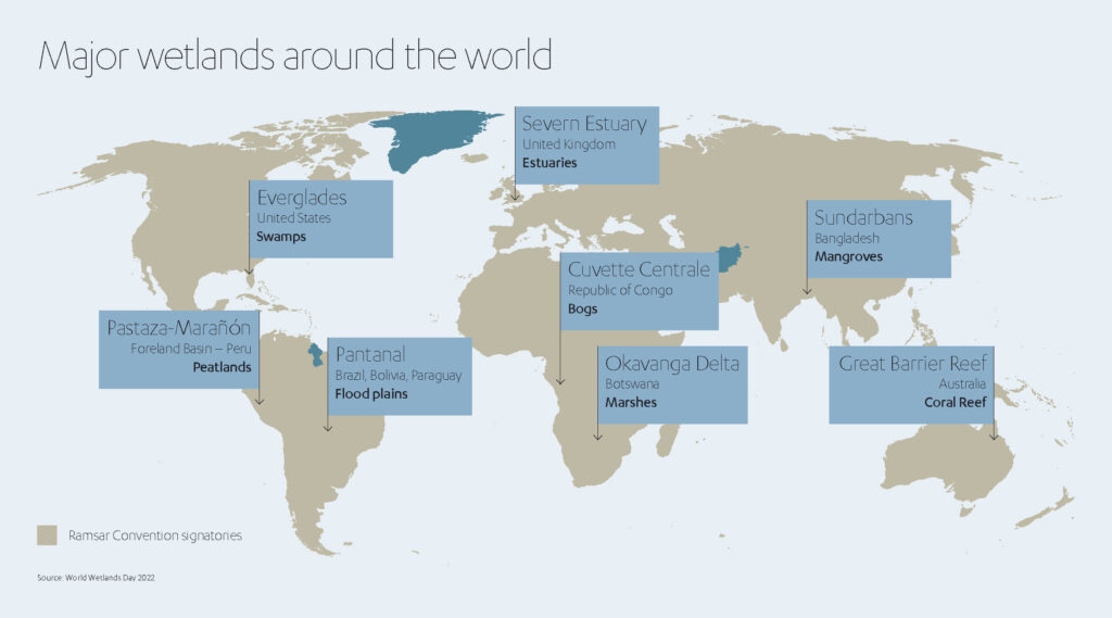 Preserving the wonders of wetlands | Abdul Latif Jameel®