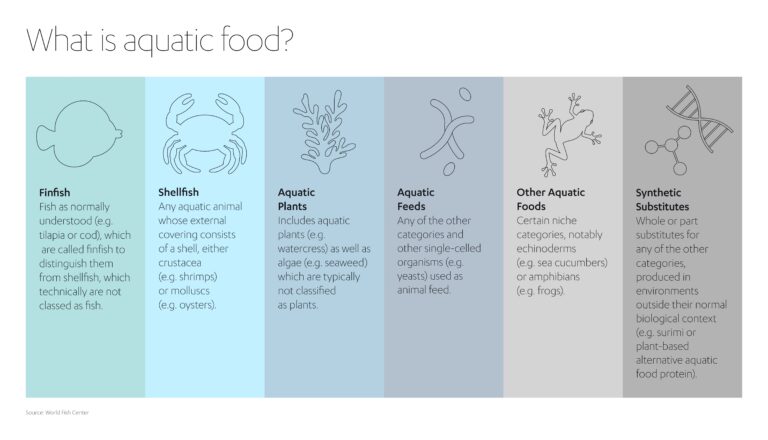 Aquatic Food Systems: A Deep Dive | Abdul Latif Jameel®