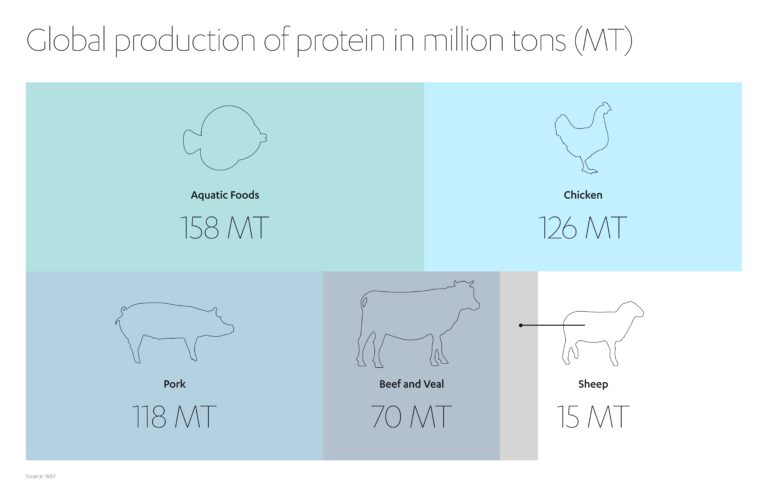 Aquatic Food Systems: A Deep Dive | Abdul Latif Jameel®