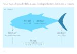 Aquatic Food Systems: A Deep Dive | Abdul Latif Jameel®
