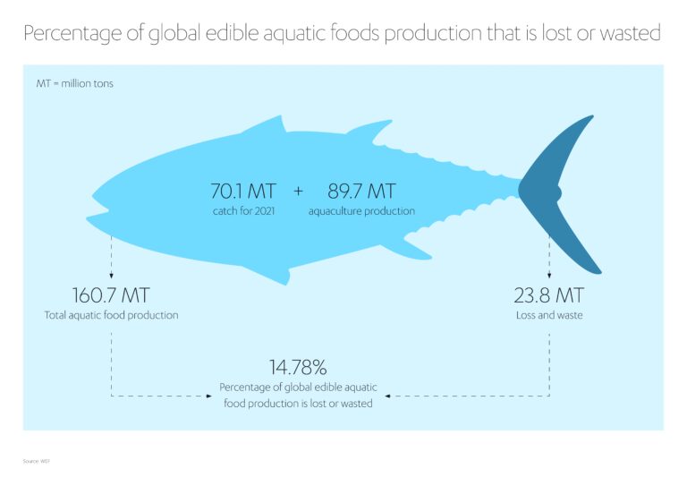 Aquatic Food Systems: A Deep Dive | Abdul Latif Jameel®