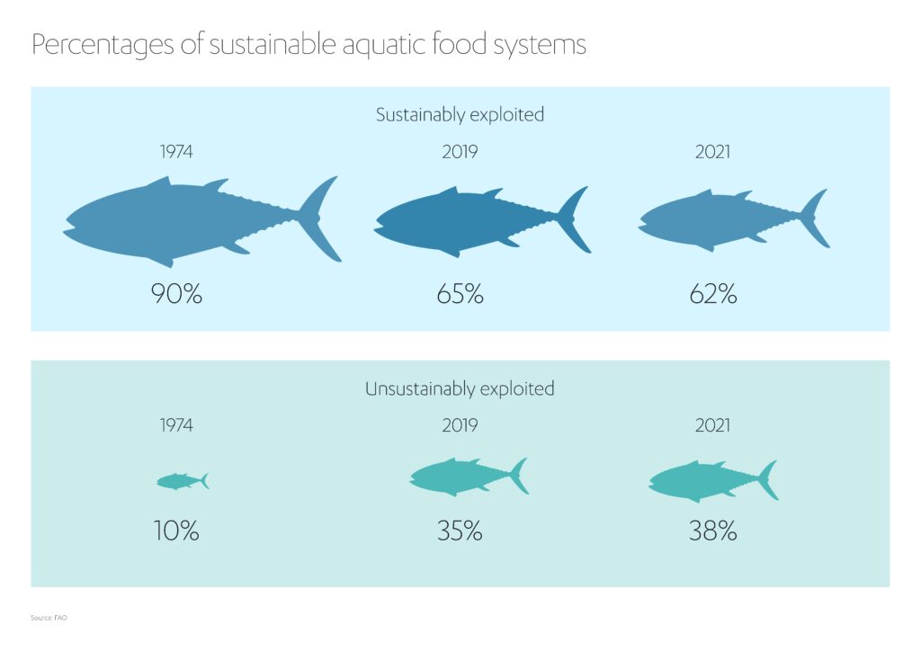Aquatic Food Systems: A Deep Dive | Abdul Latif Jameel®